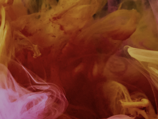 Quand faut-il rompre ? - adopte.app